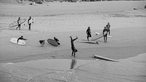 Gliding Barnacles – Kunst, Musik & Surf: Wellenreiten.de